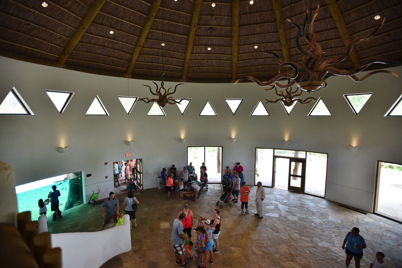 Memphis Zoo Zambezi River Hippo Camp - A2H